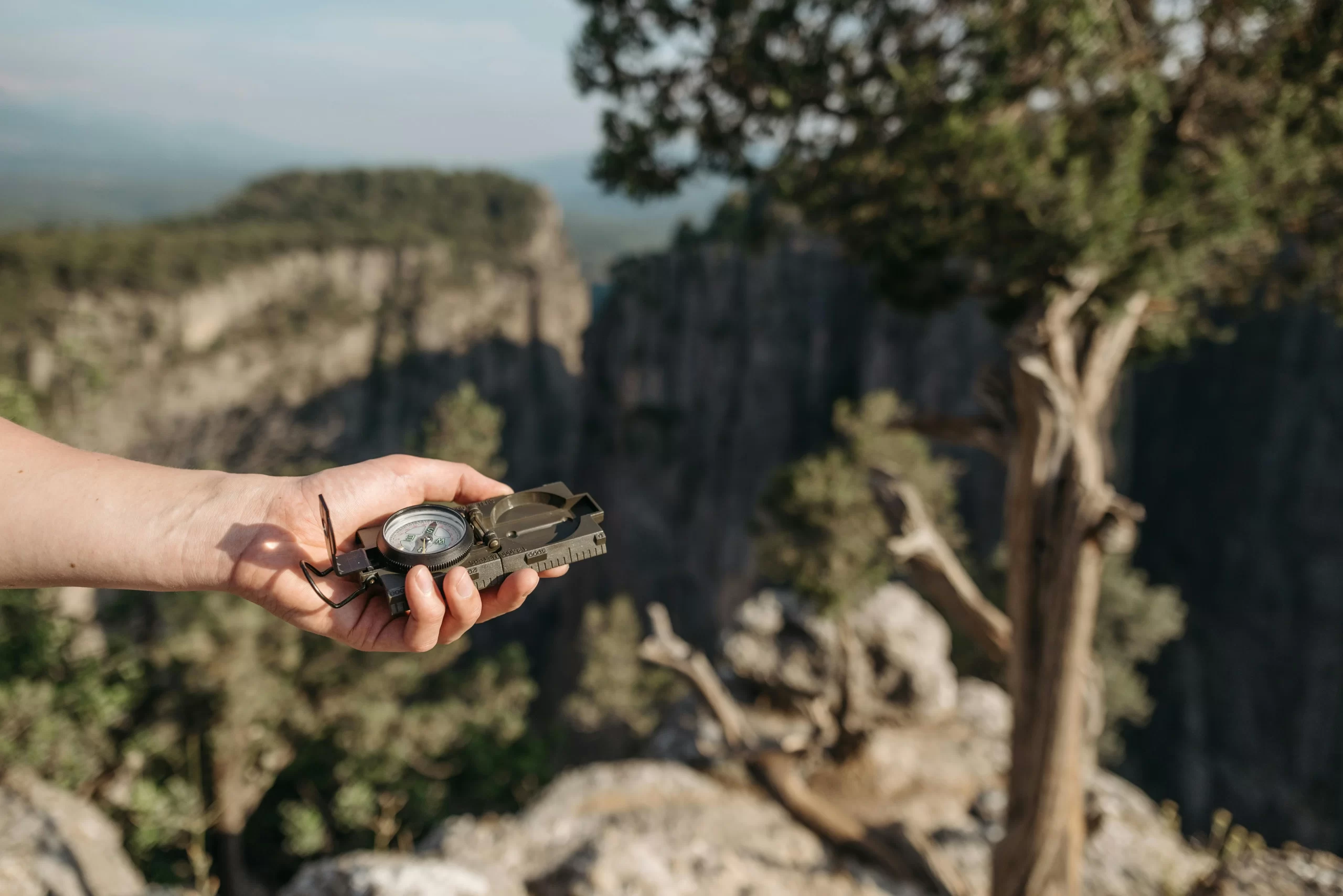 Survival Skills 101: Essential Skills for Emergency Situations ...